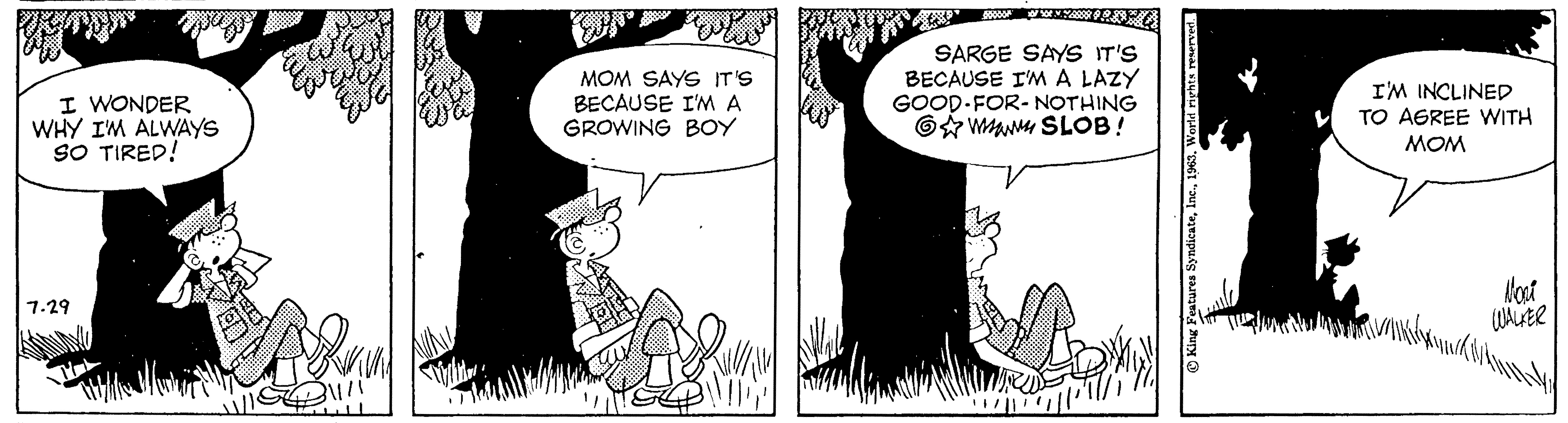 Beetle Bailey Comic Strip 1963-07-29 | Comics Kingdom