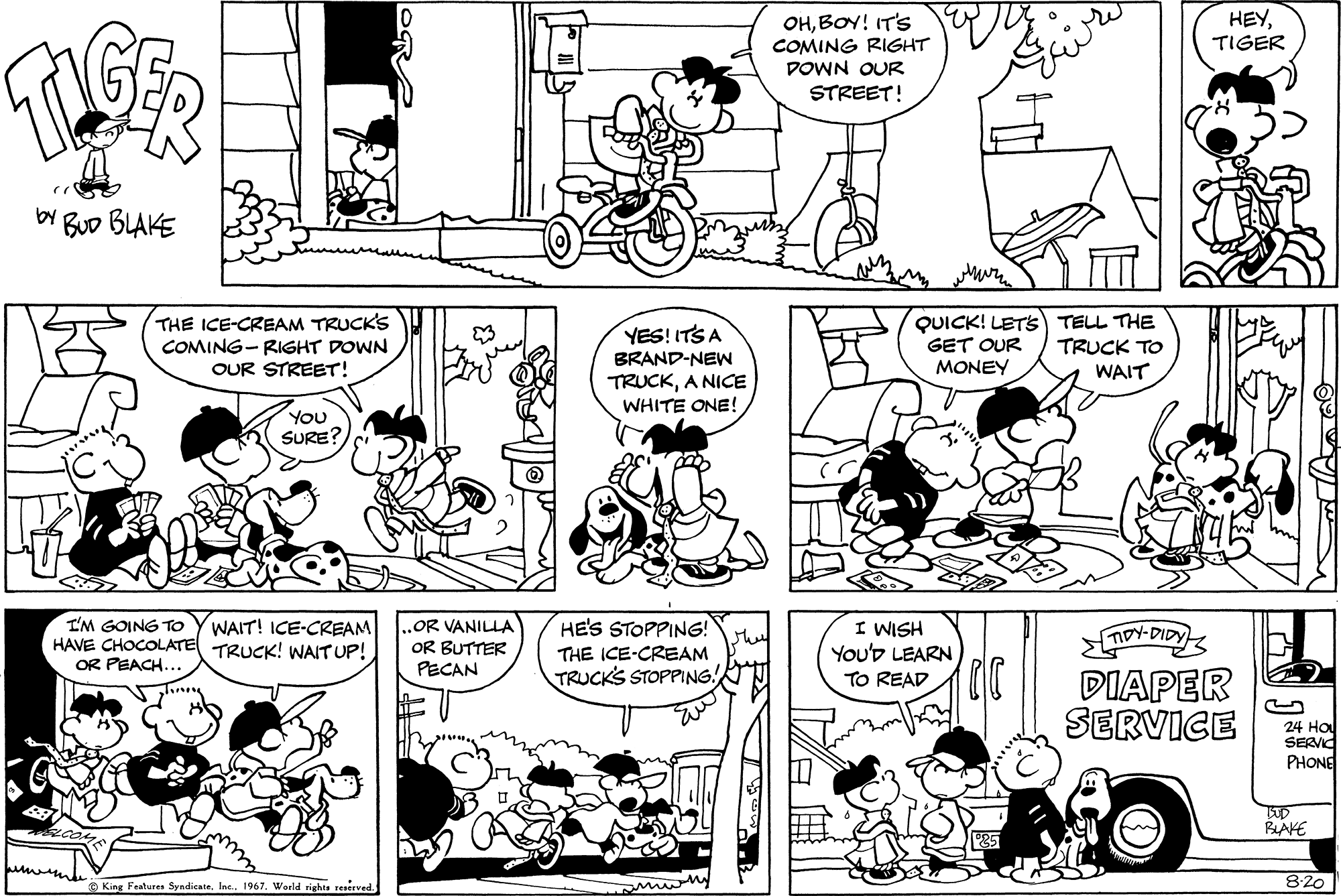 Tiger Vintage Sundays Comic Strip 1967-08-20 | Comics Kingdom