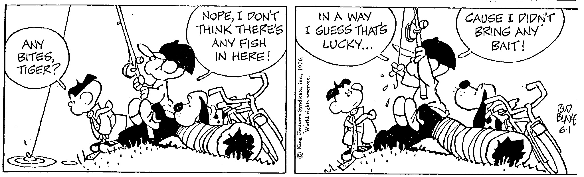 Tiger Comic Strip 1970-06-01 | Comics Kingdom