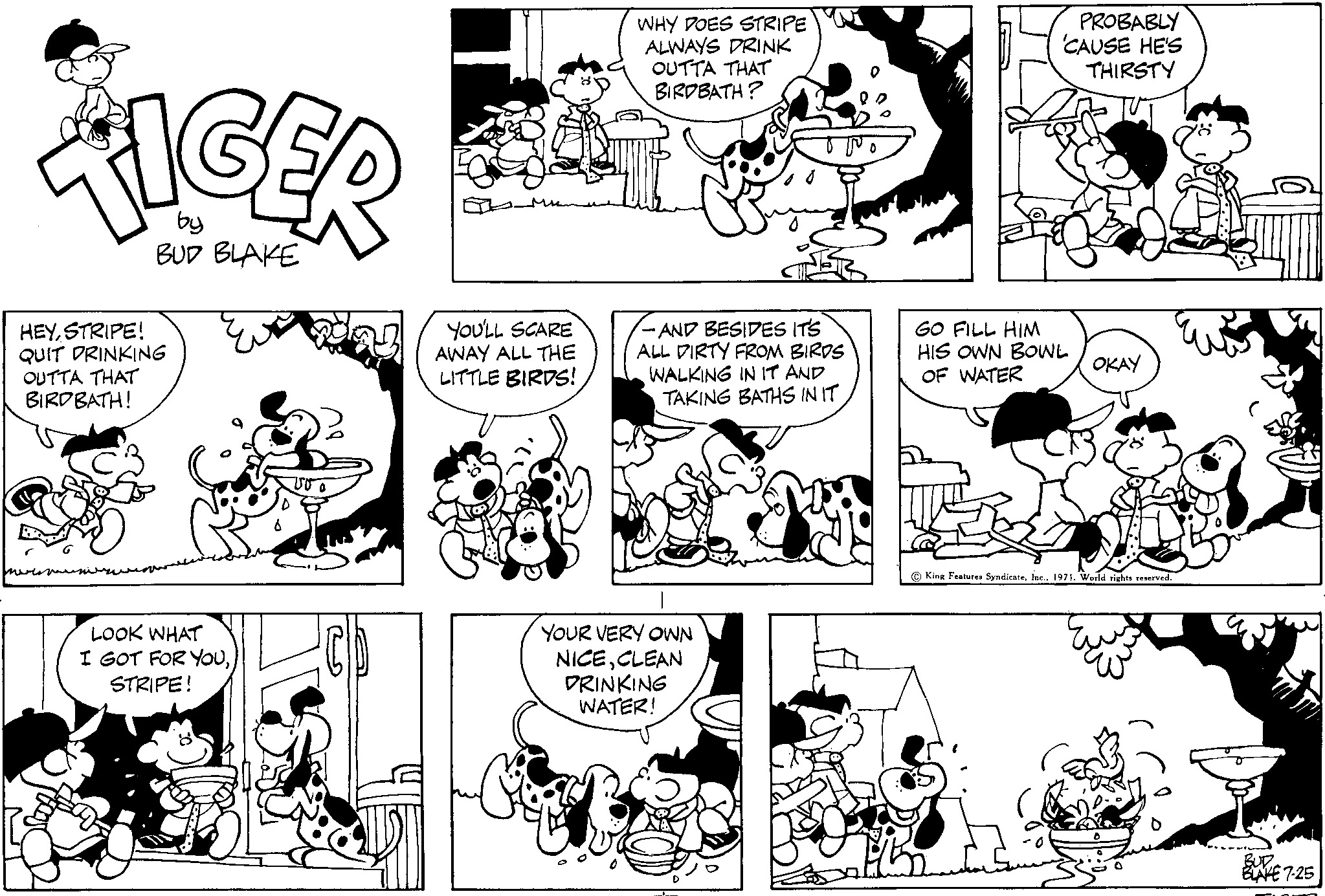 Tiger Vintage Sundays Comic Strip 1971-07-25 | Comics Kingdom