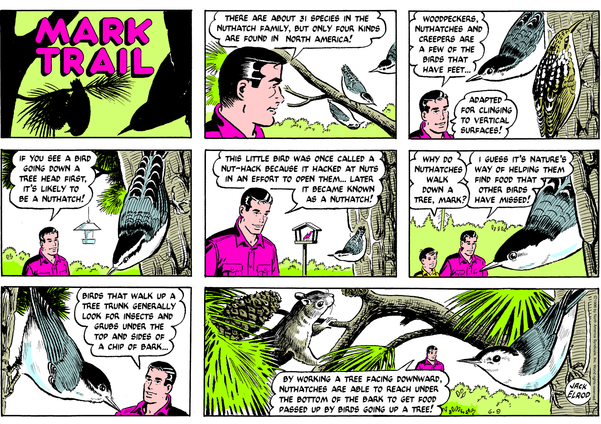 Mark Trail Comic Strip 1996-06-09 | Comics Kingdom