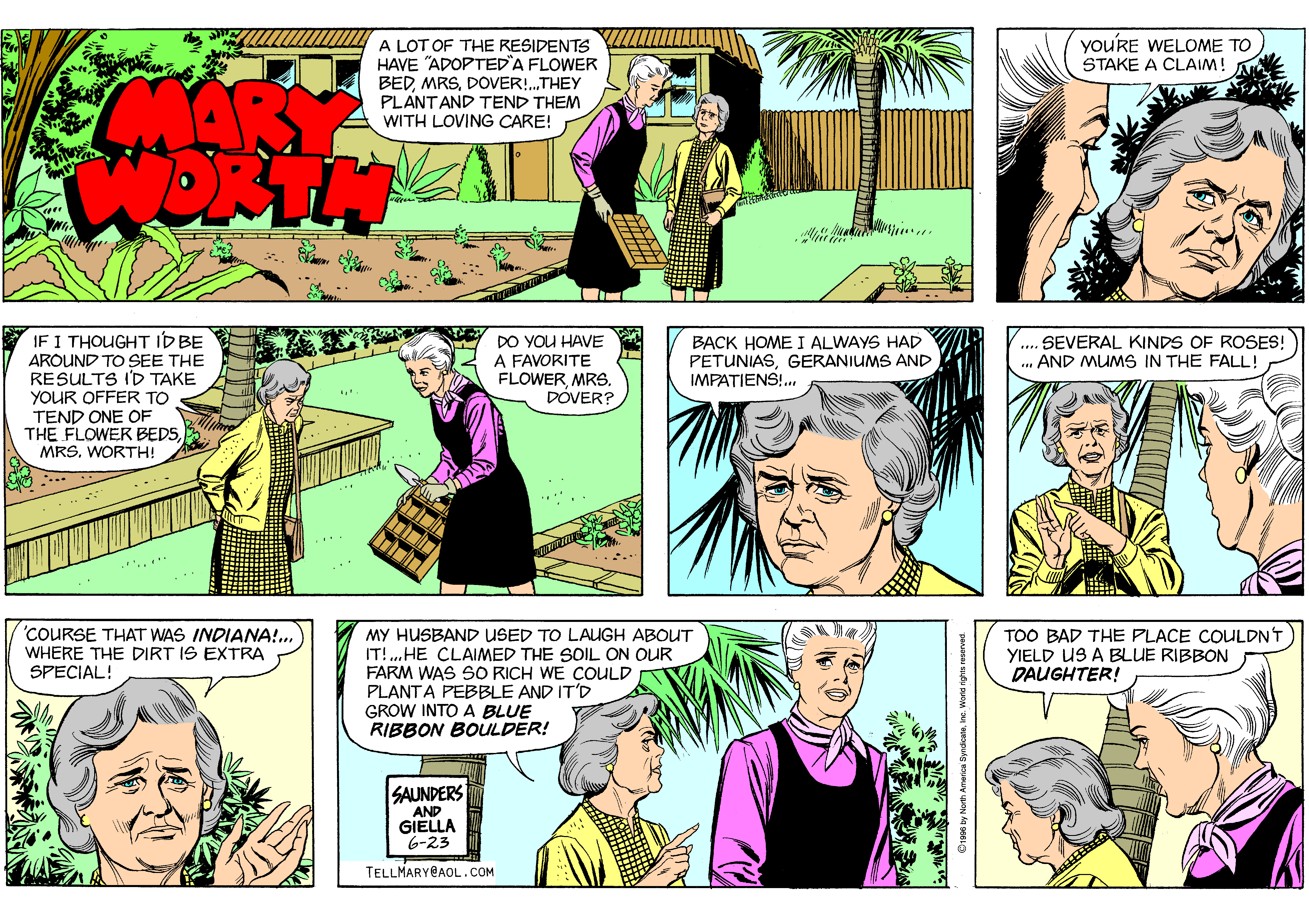 Mary Worth Comic Strip 1996-06-23 | Comics Kingdom
