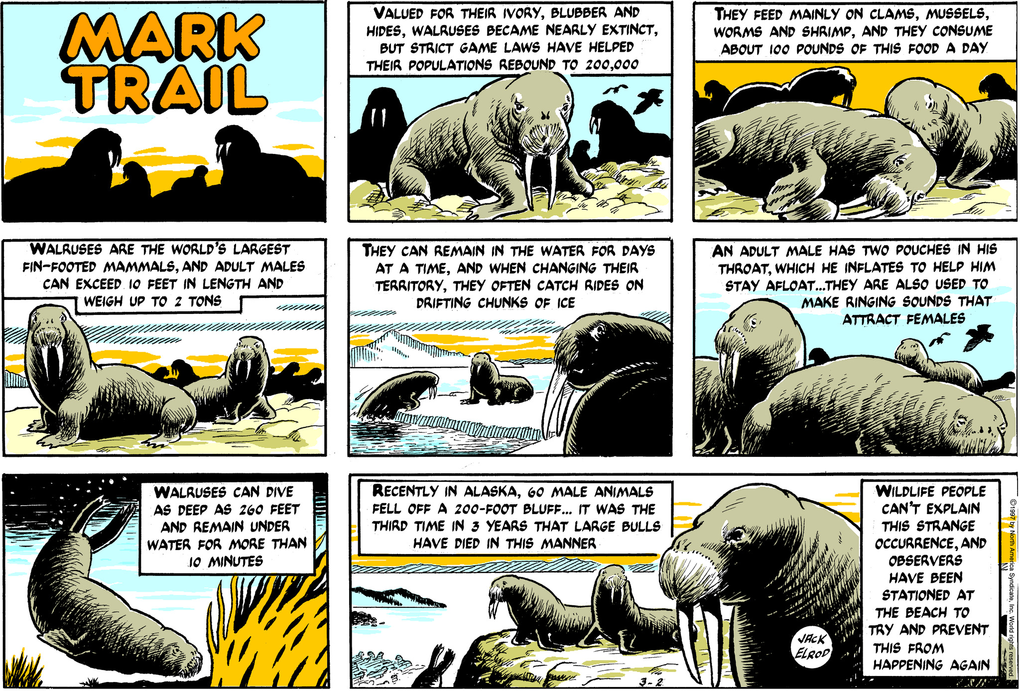 Mark Trail Comic Strip 1997-03-02 | Comics Kingdom