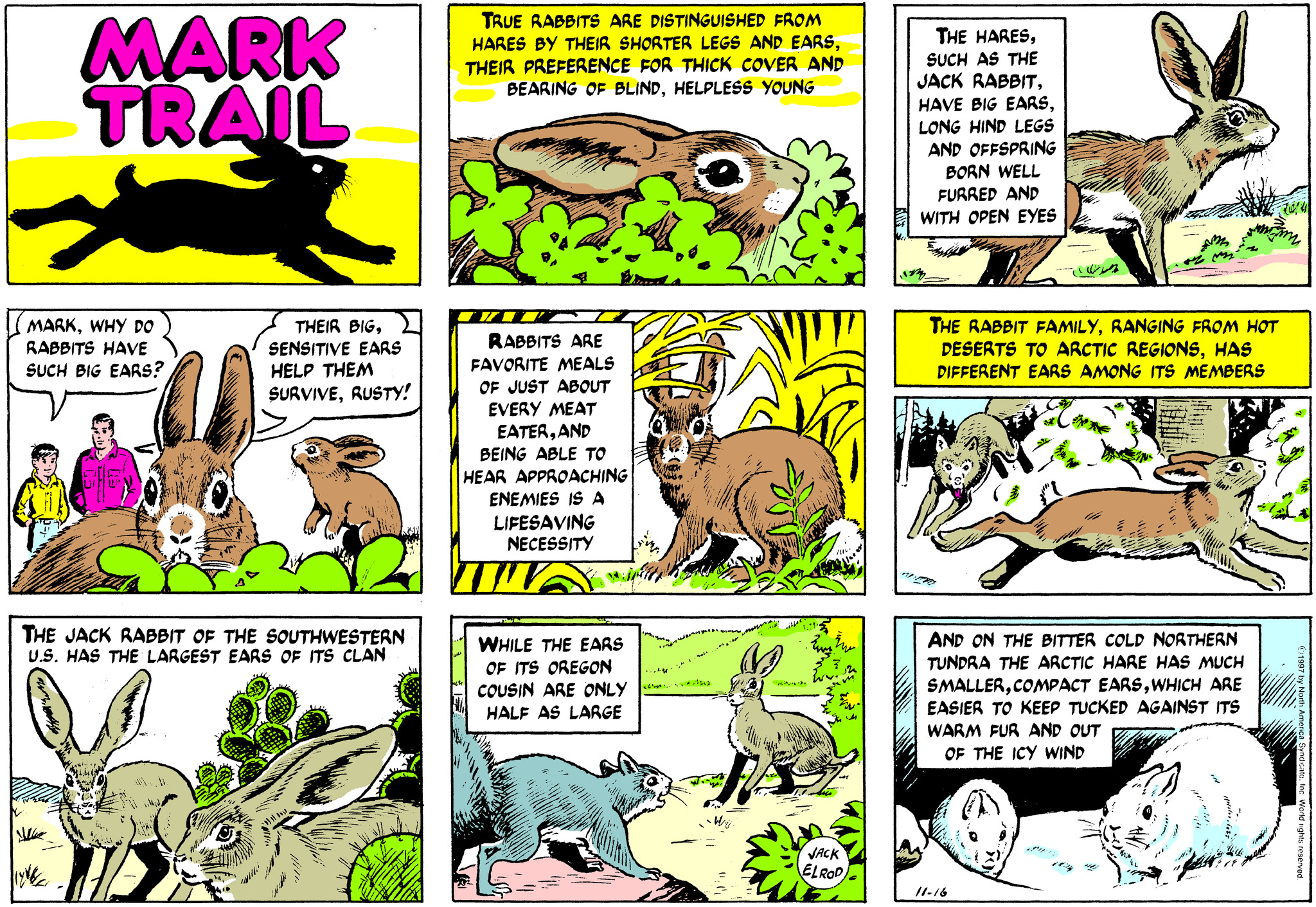 Mark Trail Comic Strip 1997-11-16 | Comics Kingdom