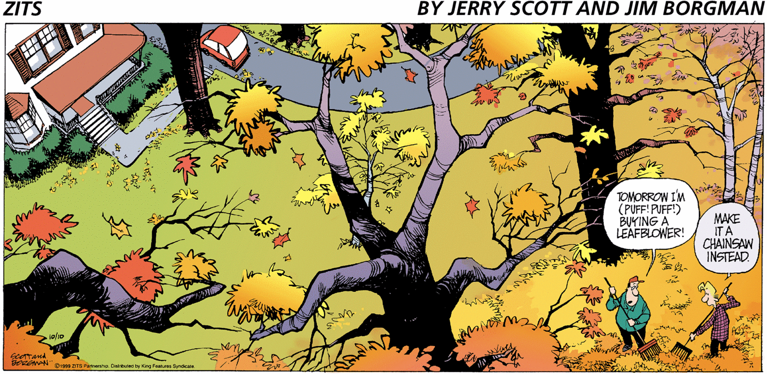 Zits Comic Strip 1999-10-10 | Comics Kingdom