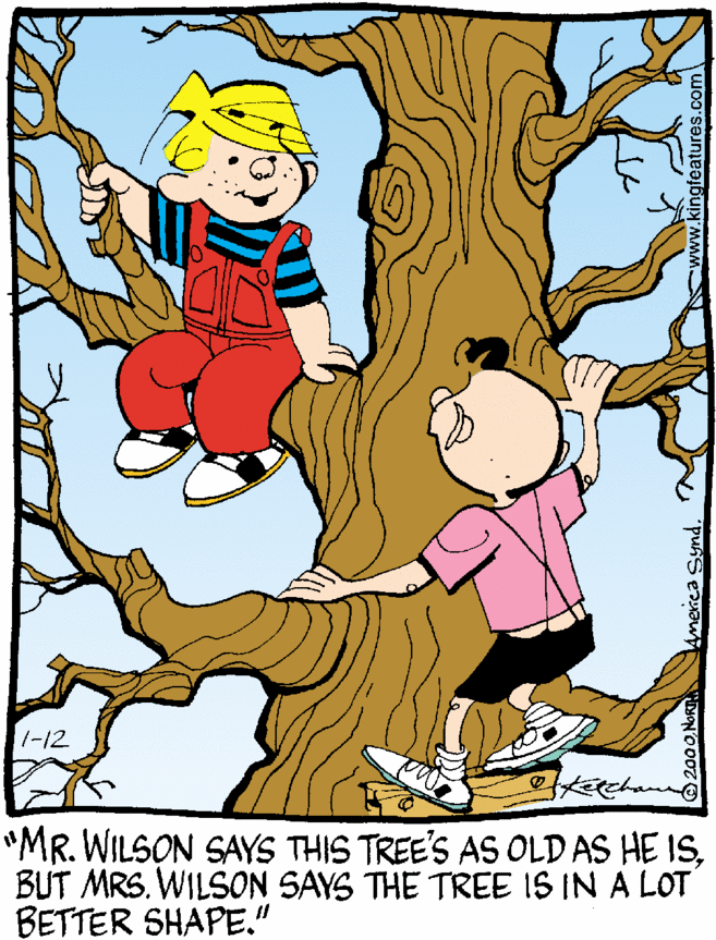 Dennis The Menace Comic Strip 2000-01-12 | Comics Kingdom