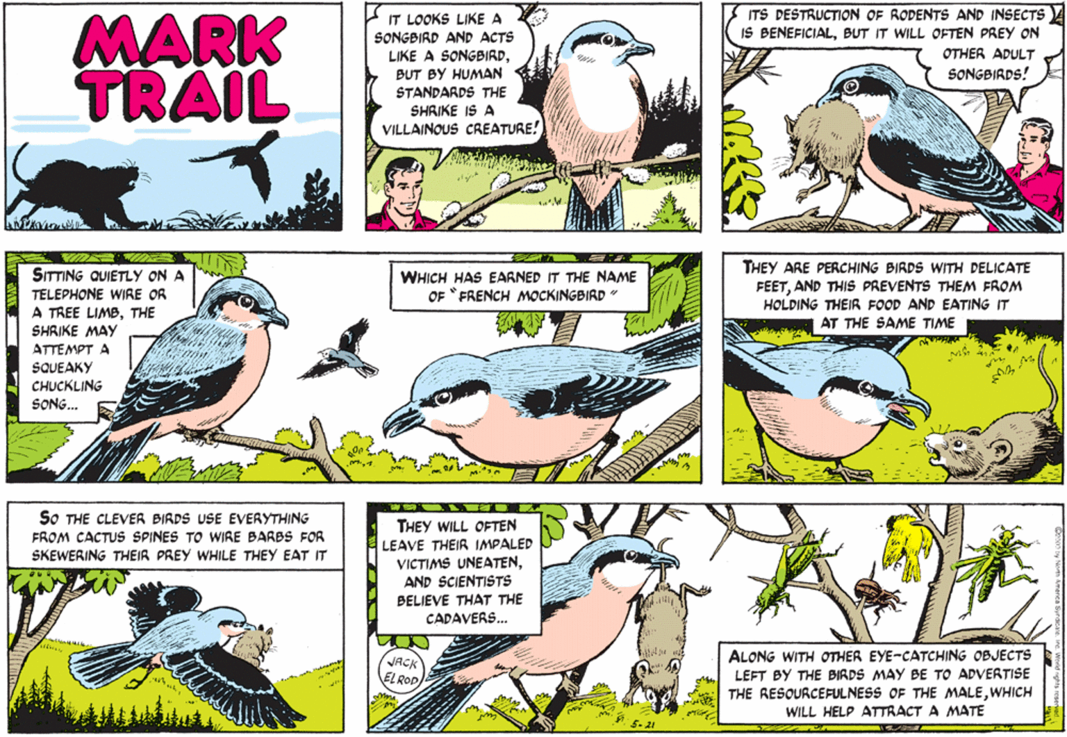 Mark Trail Comic Strip 2000-05-21 | Comics Kingdom