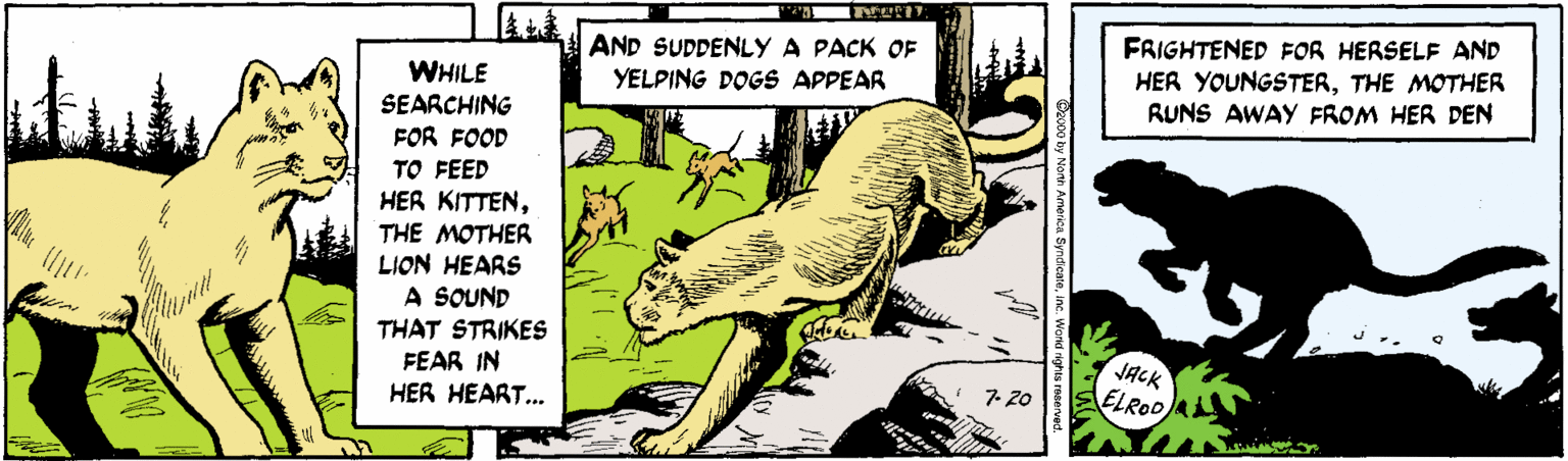 Mark Trail Comic Strip 2000-07-20 | Comics Kingdom