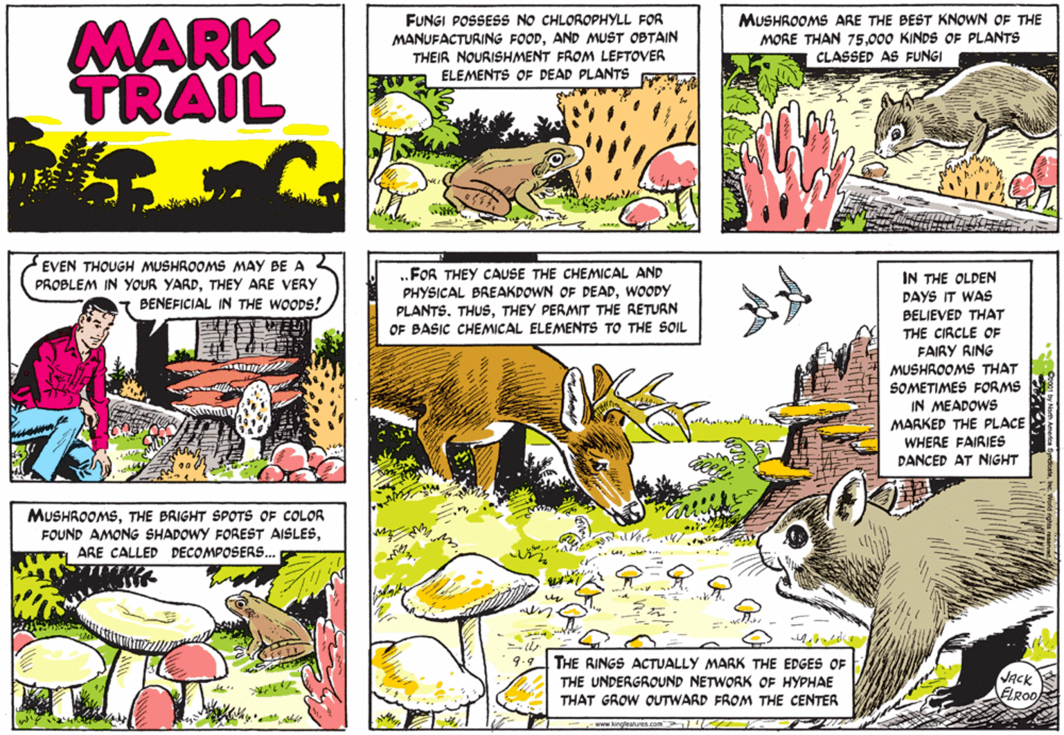 Mark Trail Comic Strip 2001-09-09 | Comics Kingdom