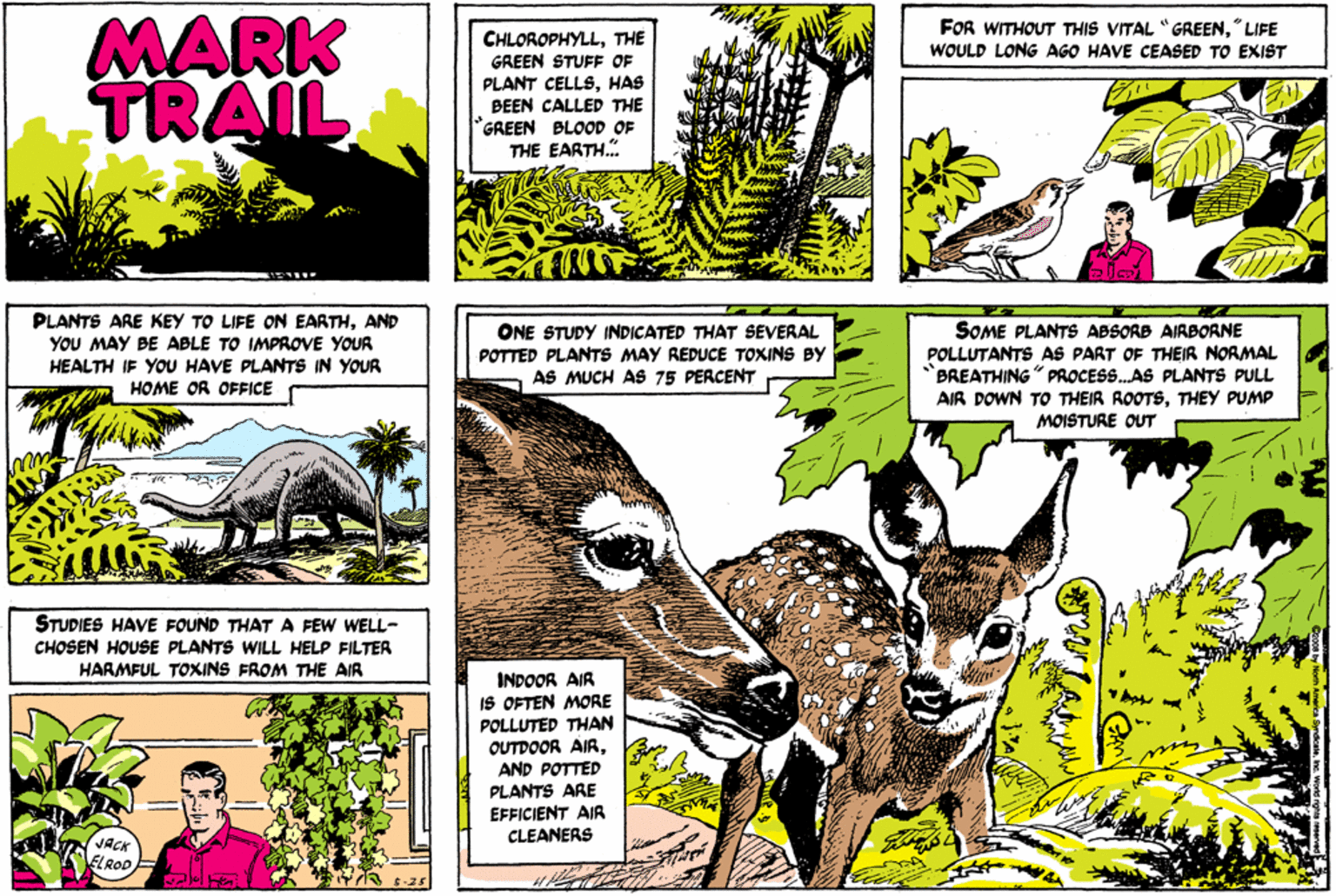 Mark Trail Comic Strip 2008-05-25 | Comics Kingdom