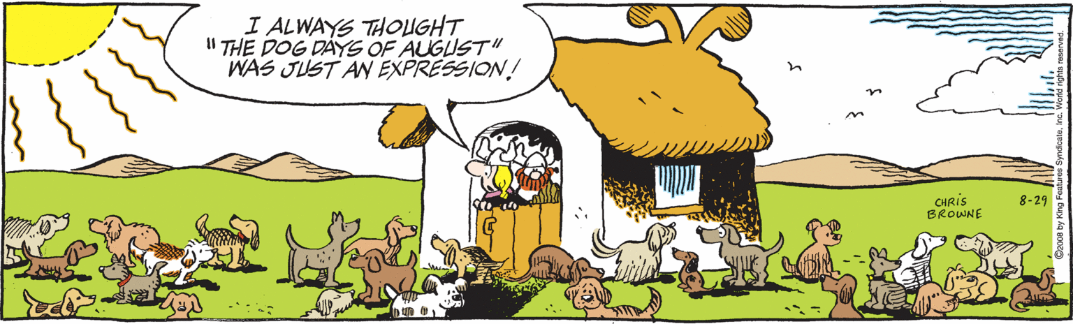 Hagar The Horrible Comic Strip 2008-08-29 | Comics Kingdom