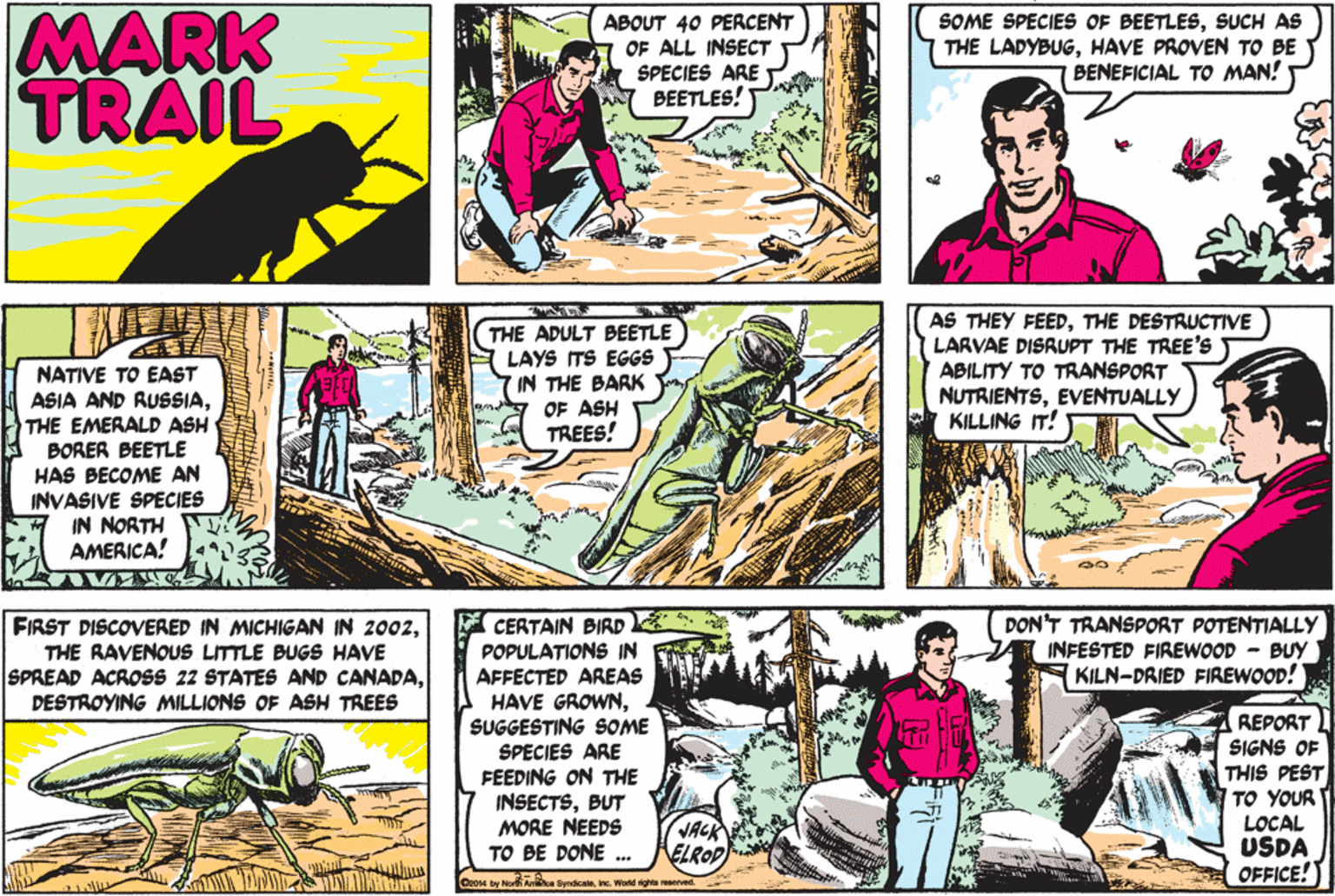 Mark Trail Comic Strip 2014-02-02 | Comics Kingdom