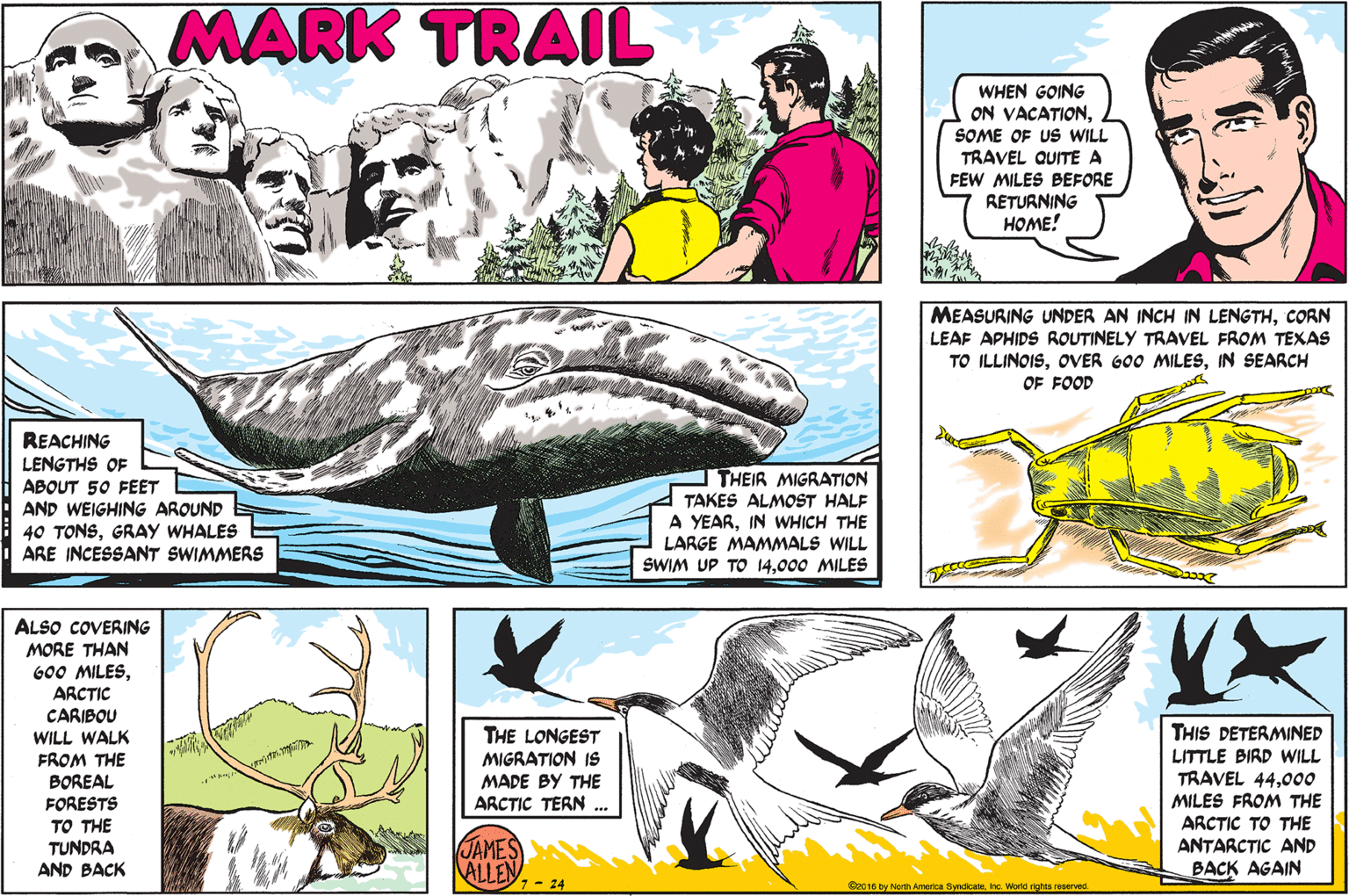 Mark Trail Comic Strip 2016-07-24 | Comics Kingdom