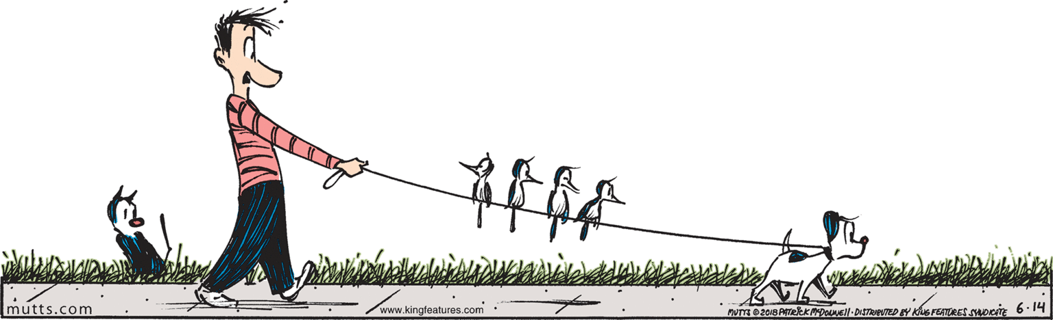 Mutts Comic Strip 2018-06-14 | Comics Kingdom