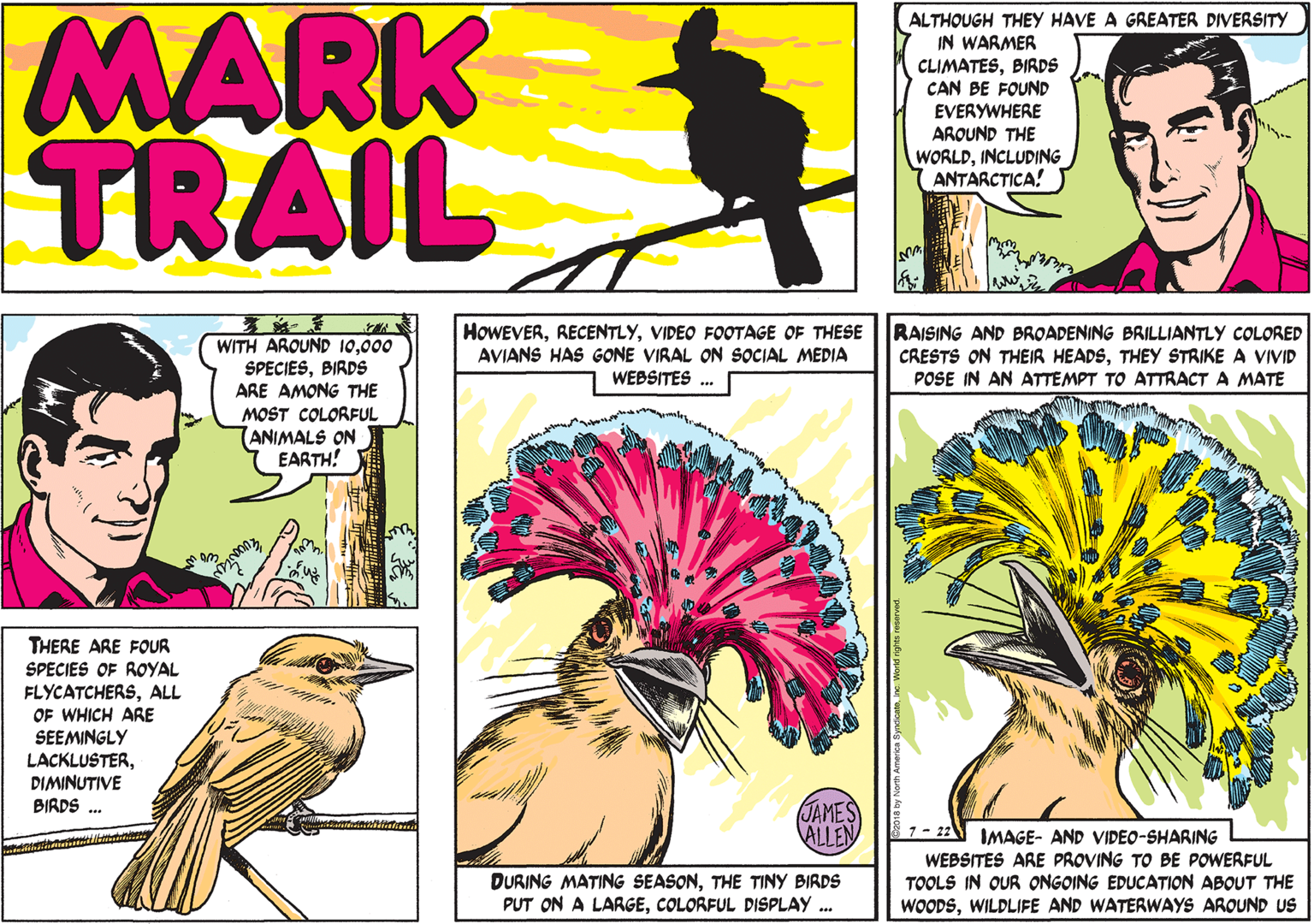 Mark Trail Comic Strip 2018-07-22 | Comics Kingdom