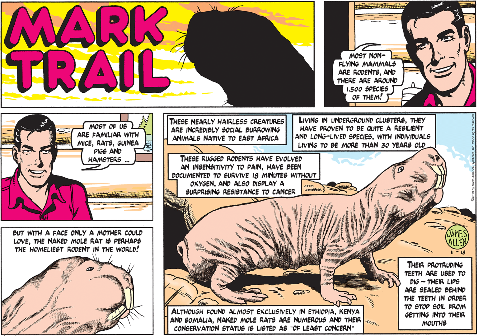 Mark Trail Comic Strip 2018-11-18 | Comics Kingdom