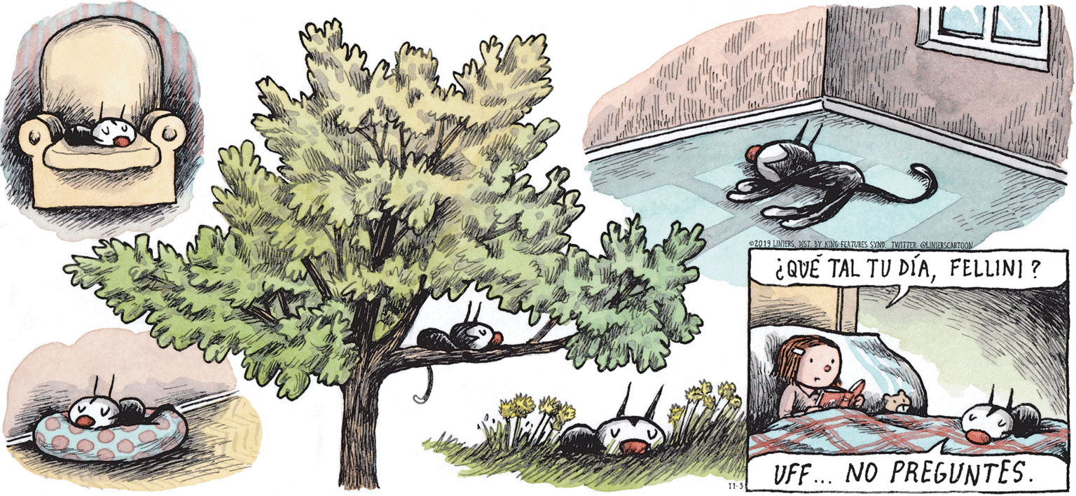 Macanudo Comic Strip 2019-11-03 | Comics Kingdom