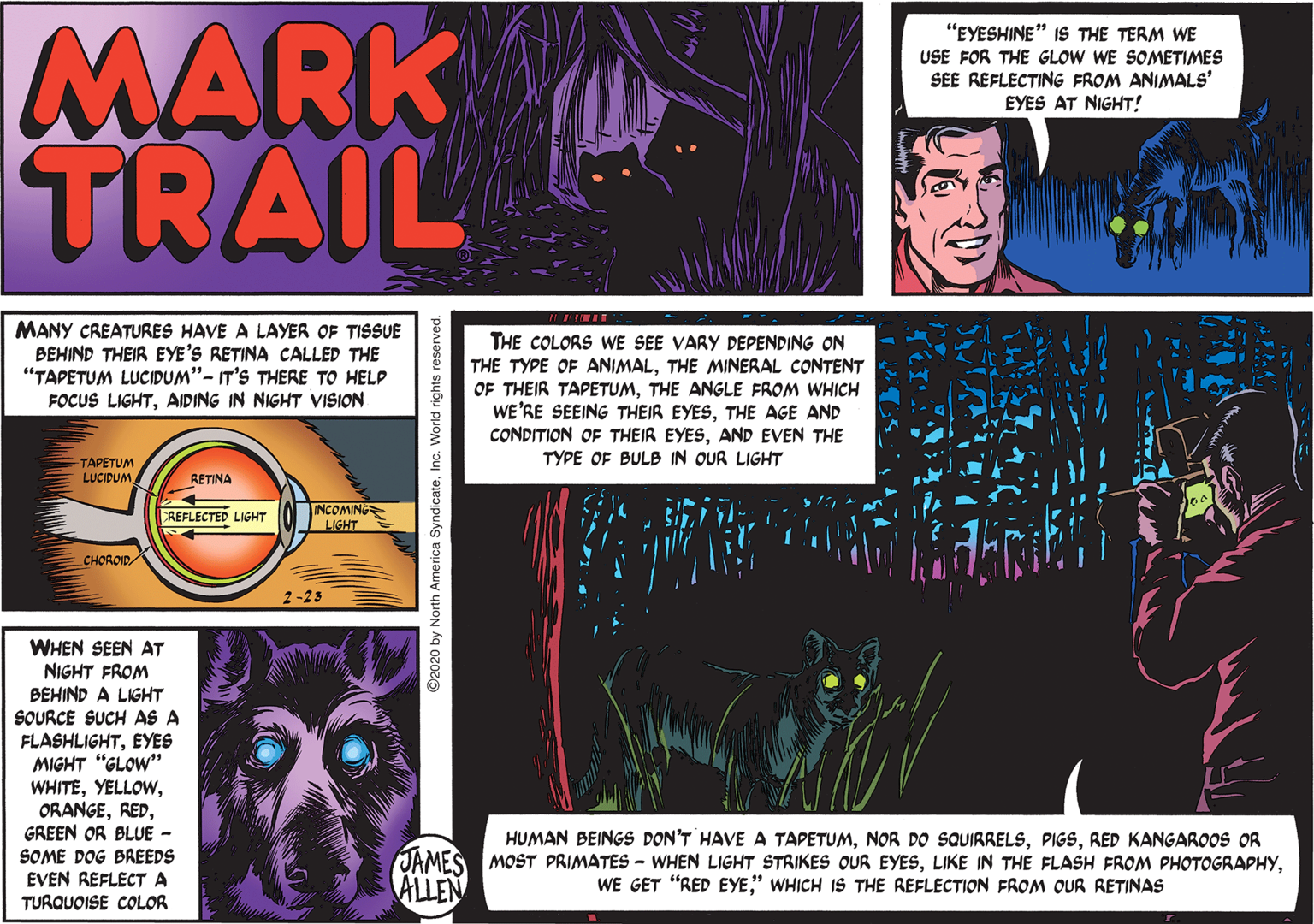 Mark Trail Comic Strip 2020-02-23 | Comics Kingdom