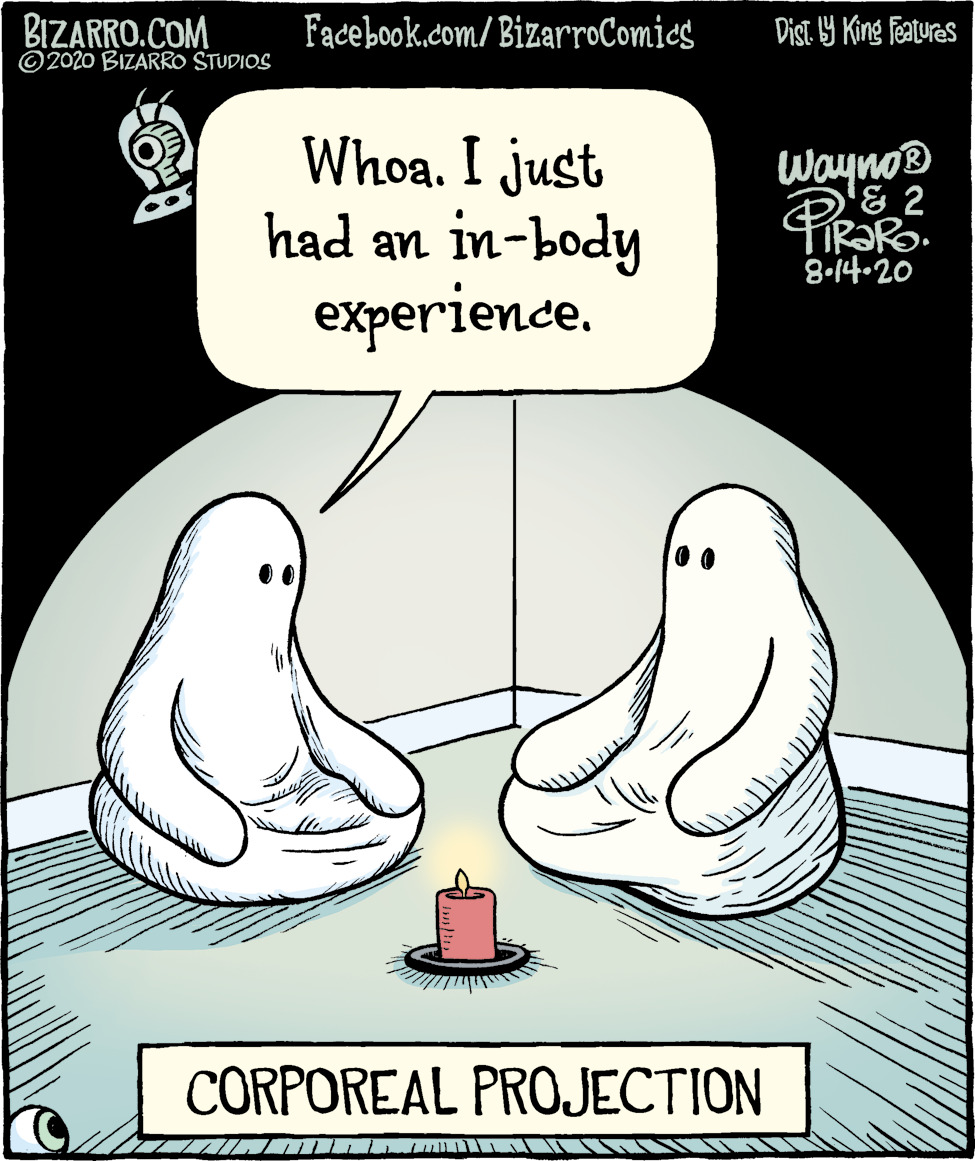 Bizarro Comic Strip 2020-08-14 | Comics Kingdom