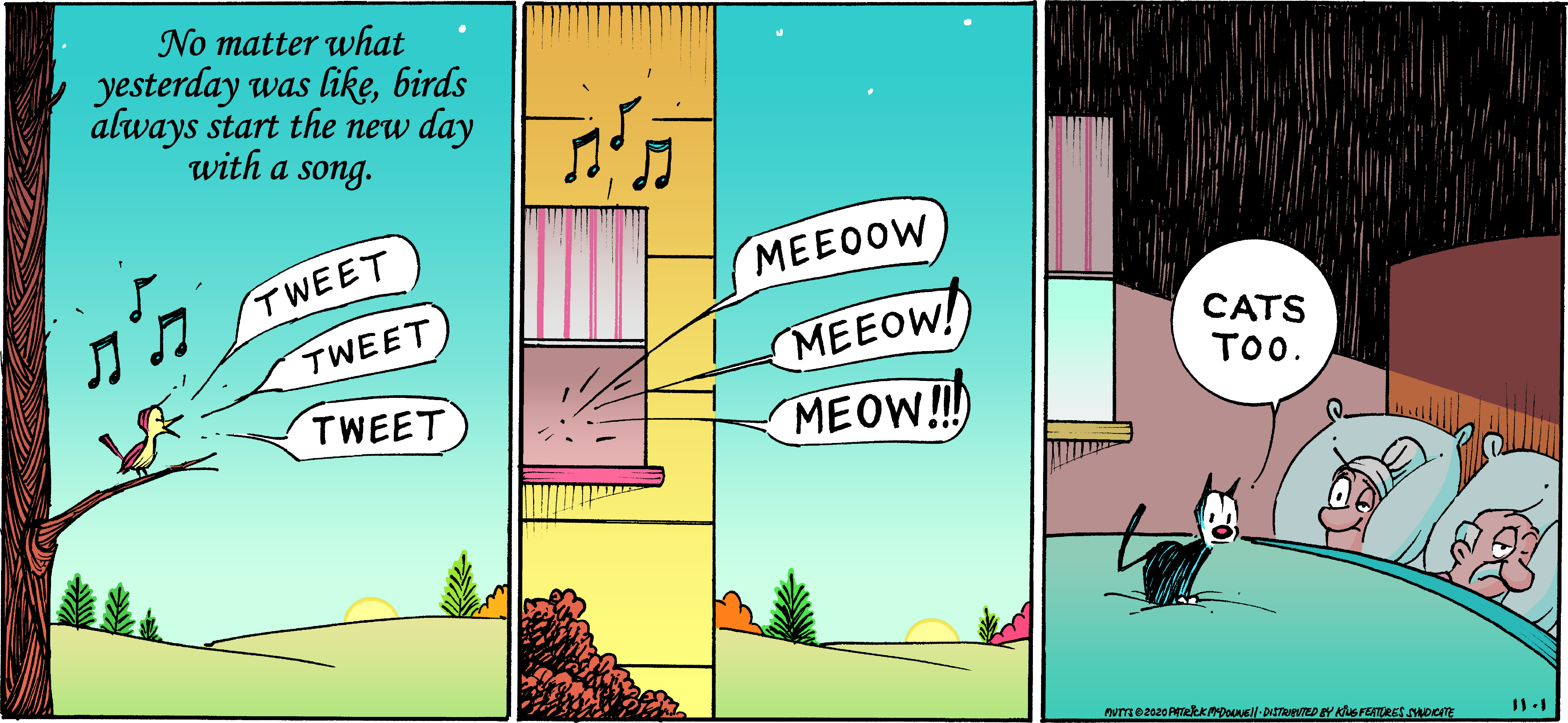 Mutts Comic Strip 2020-11-01 | Comics Kingdom