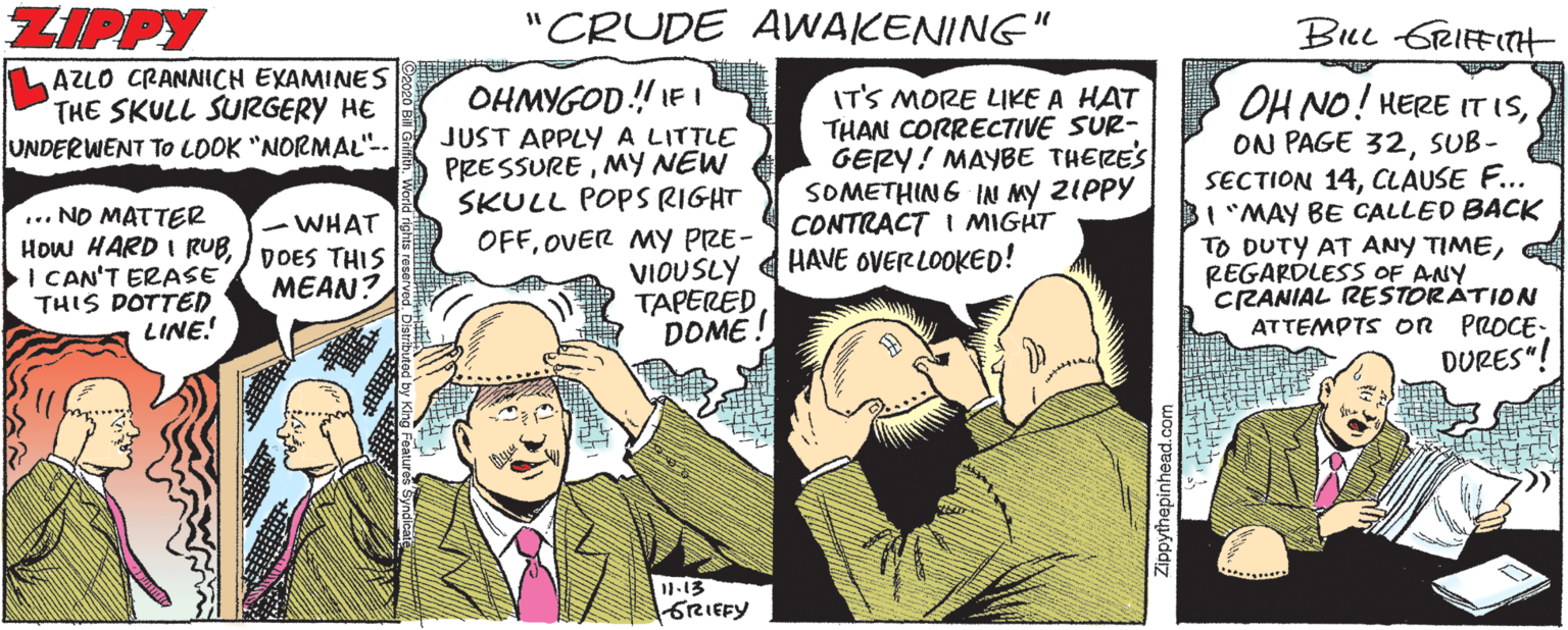 Zippy The Pinhead Comic Strip 2020-11-13 | Comics Kingdom