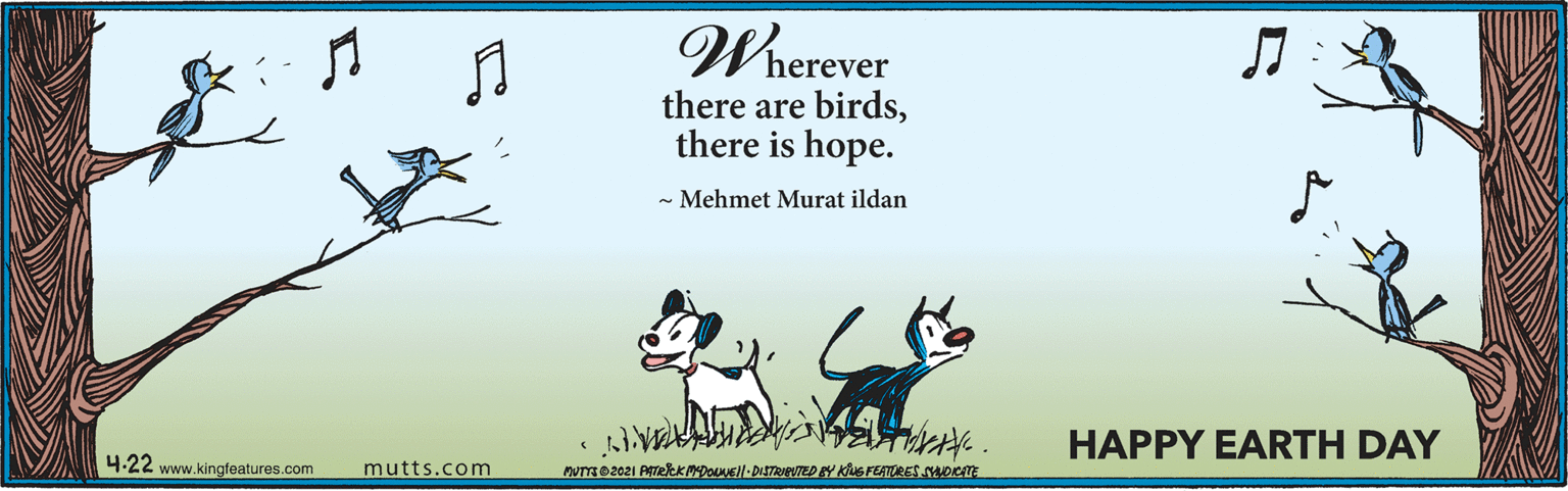 Mutts Comic Strip 2021-04-22 | Comics Kingdom