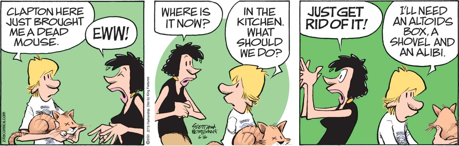 Zits Comic Strip 2021 06 16 Comics Kingdom