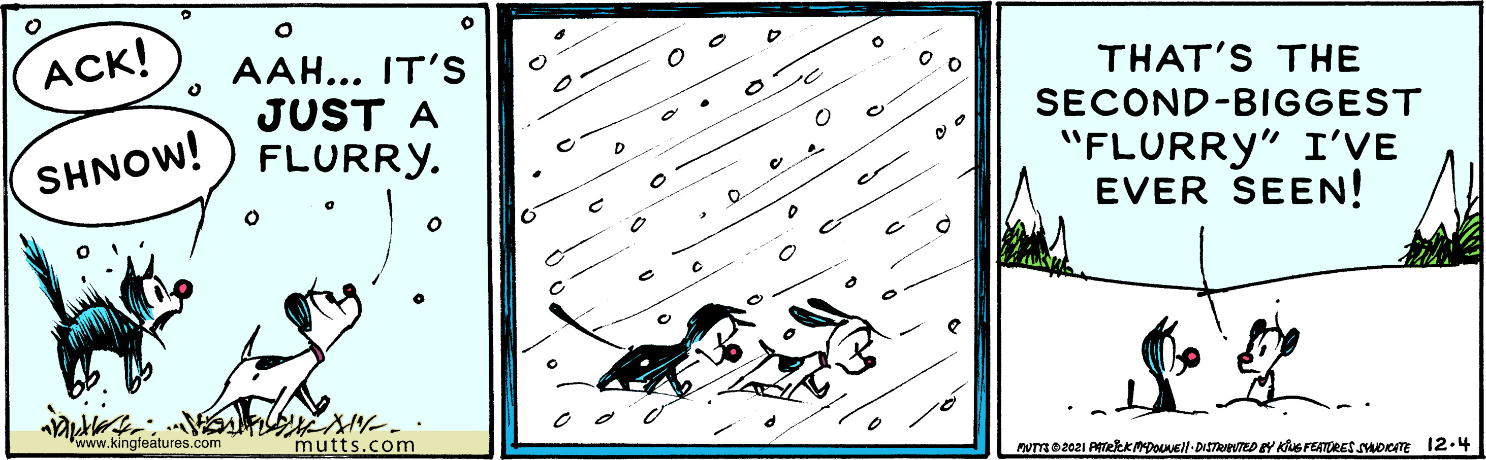 Mutts Comic Strip 2021-12-04 | Comics Kingdom