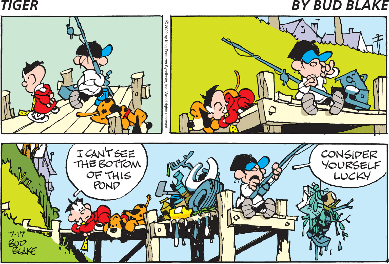 Tiger Comic Strip 2022-07-17 | Comics Kingdom