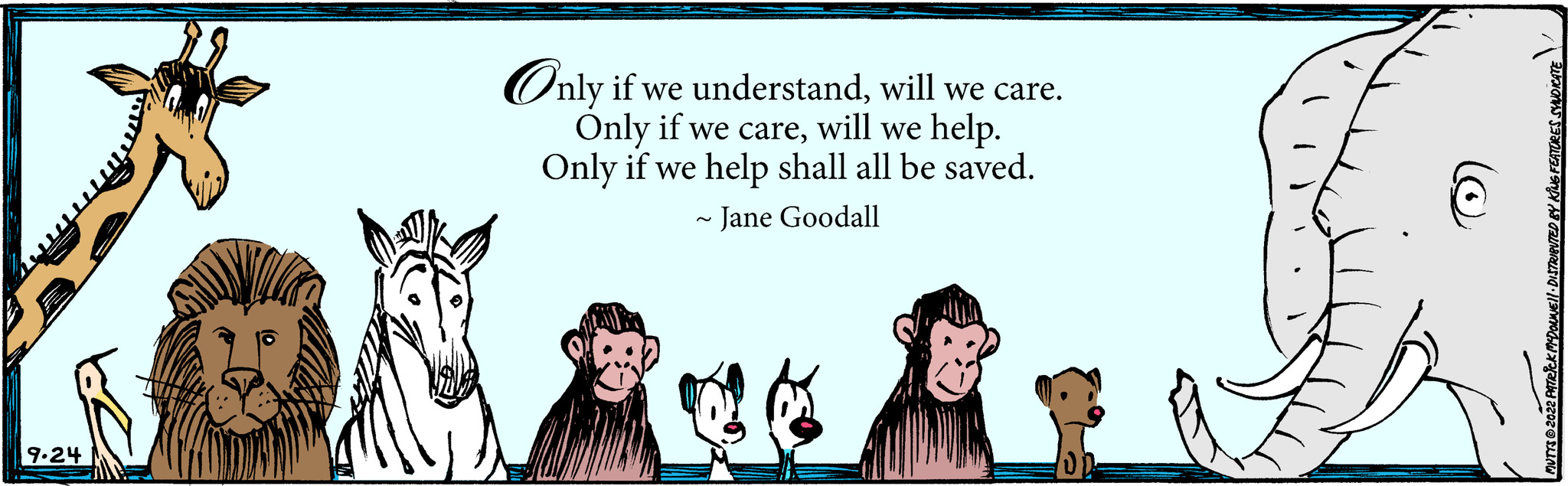 Mutts Comic Strip 2022-09-24 | Comics Kingdom