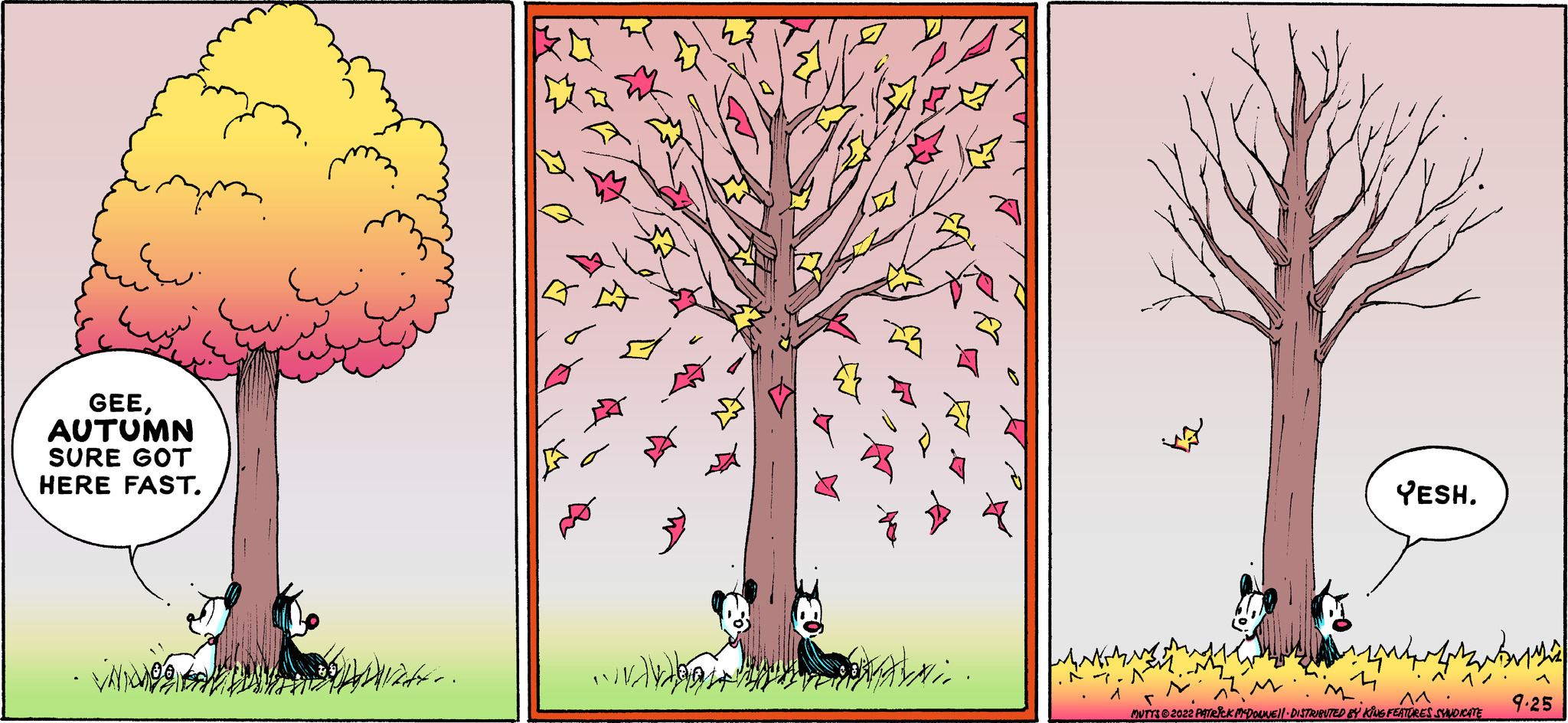 Mutts Comic Strip 2022-09-25 | Comics Kingdom
