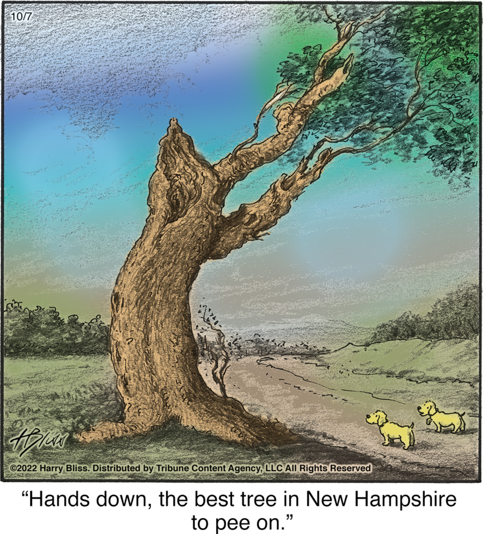Bliss Comic Strip 2022-10-07 | Comics Kingdom