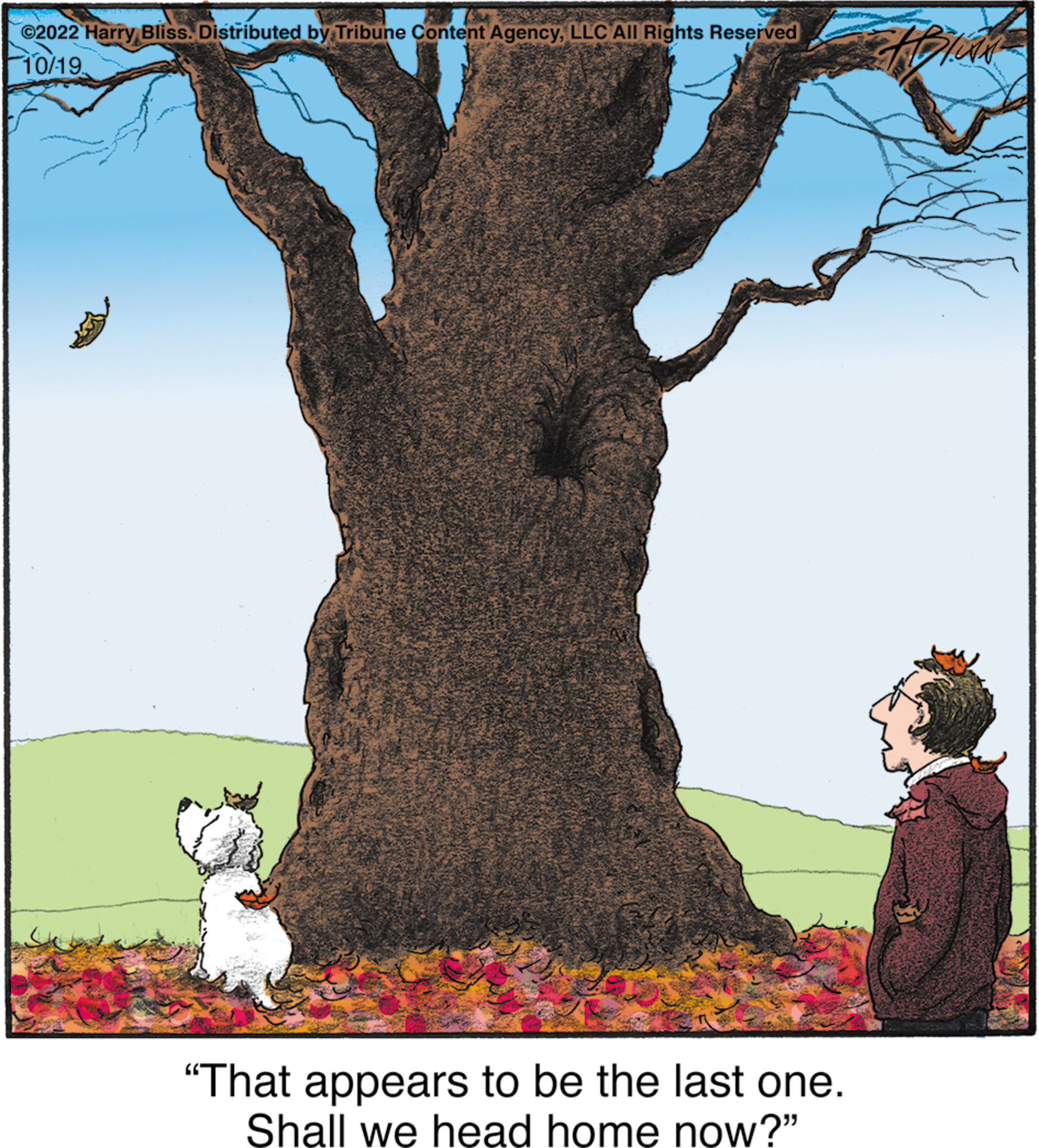 Bliss Comic Strip 2022-10-19 | Comics Kingdom