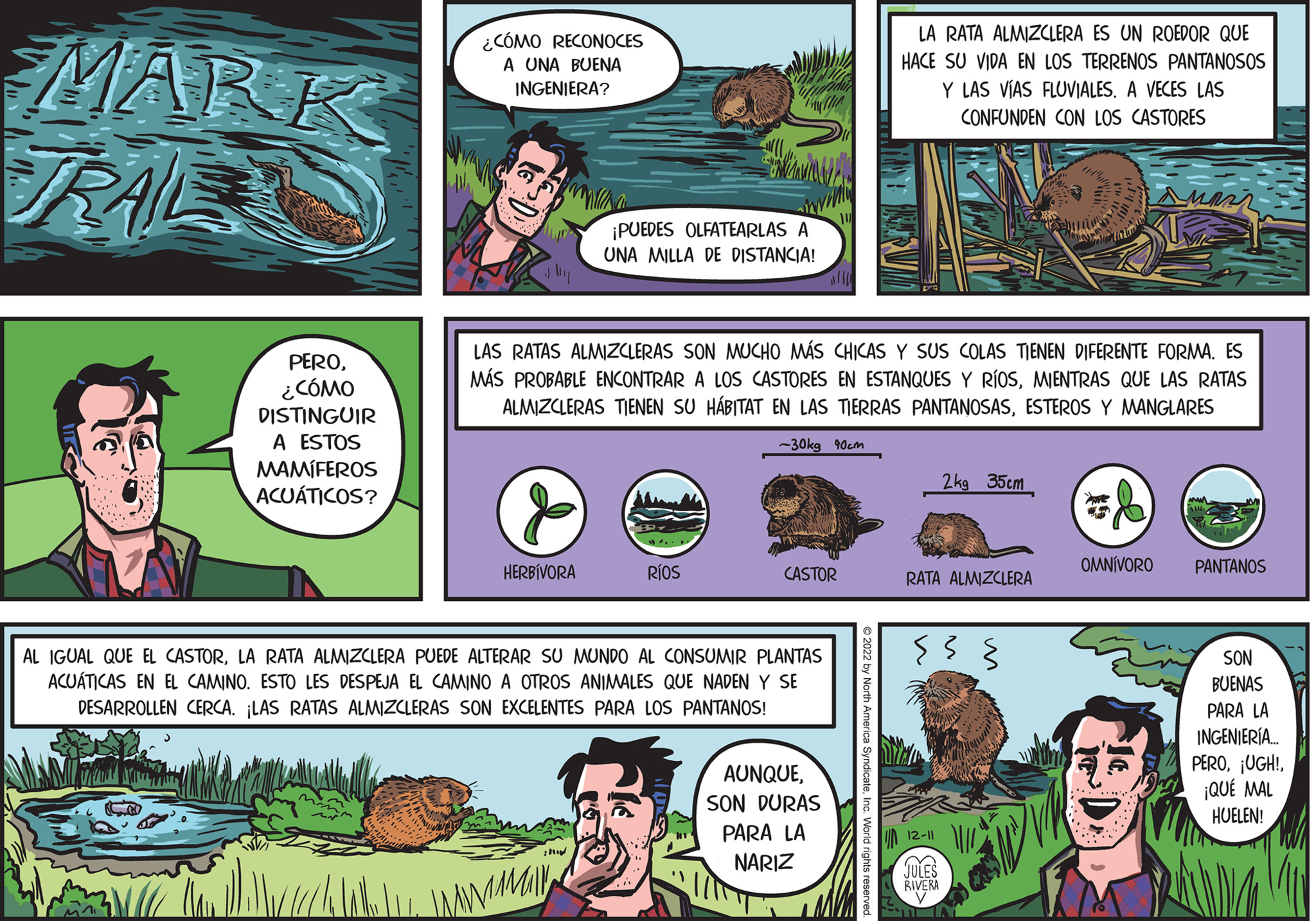 Mark Trail Comic Strip 2022-12-11 | Comics Kingdom