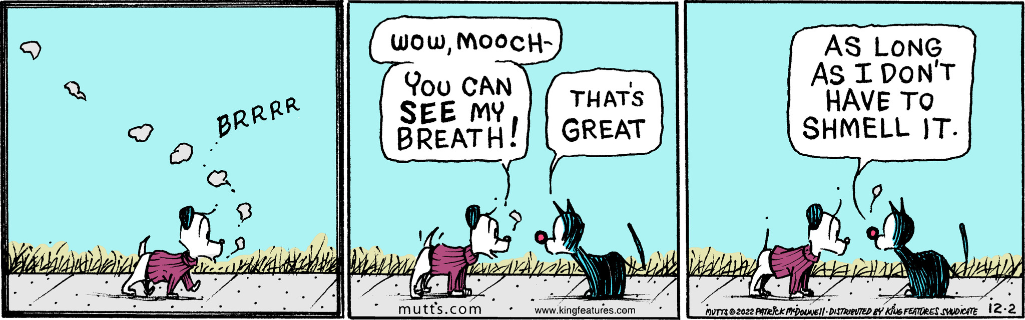 Mutts Comic Strip 2022-12-02 | Comics Kingdom