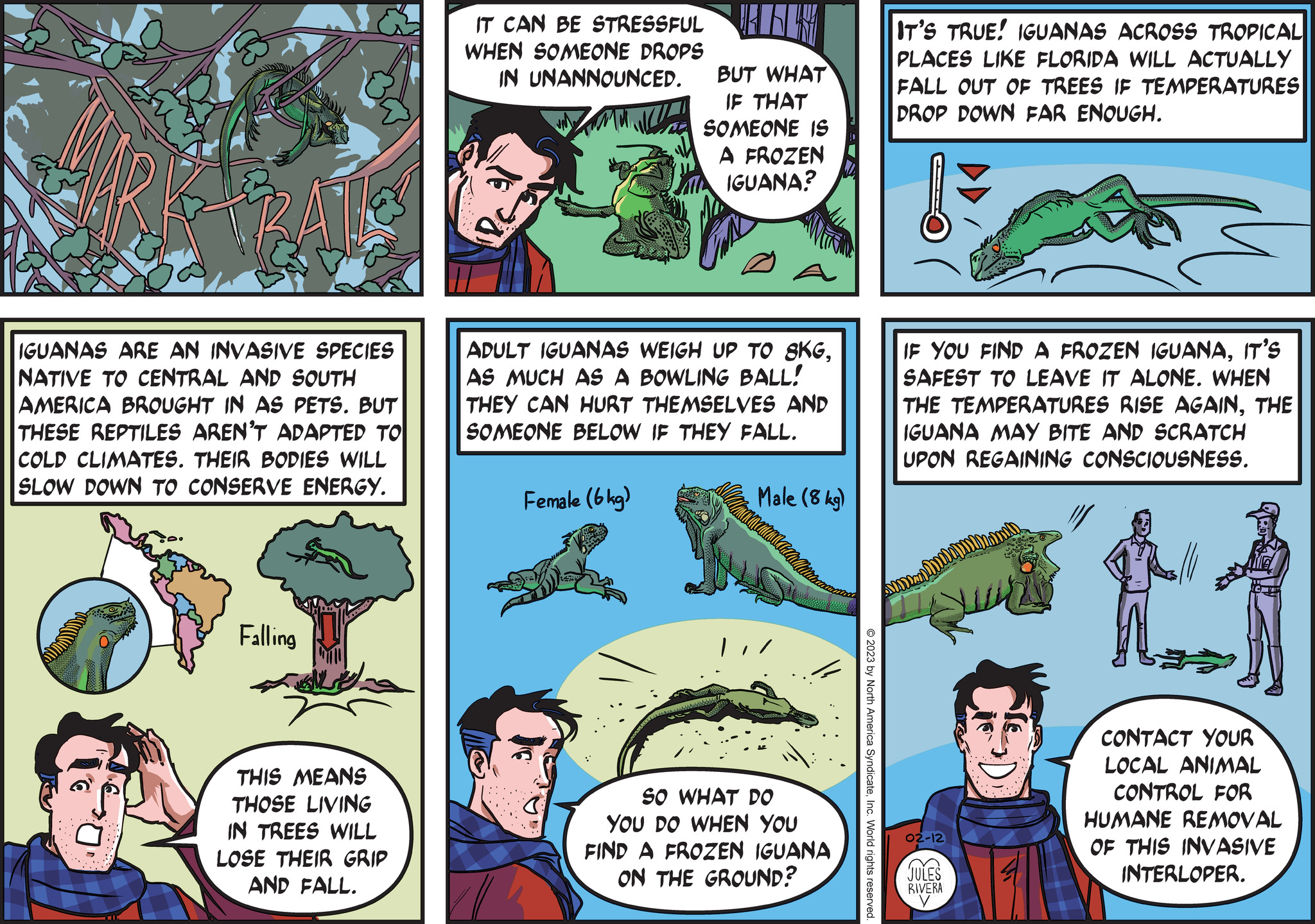 Mark Trail Comic Strip 2023-02-12 | Comics Kingdom