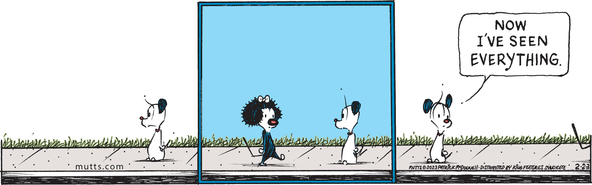 Mutts Comic Strip 2023-02-23 | Comics Kingdom