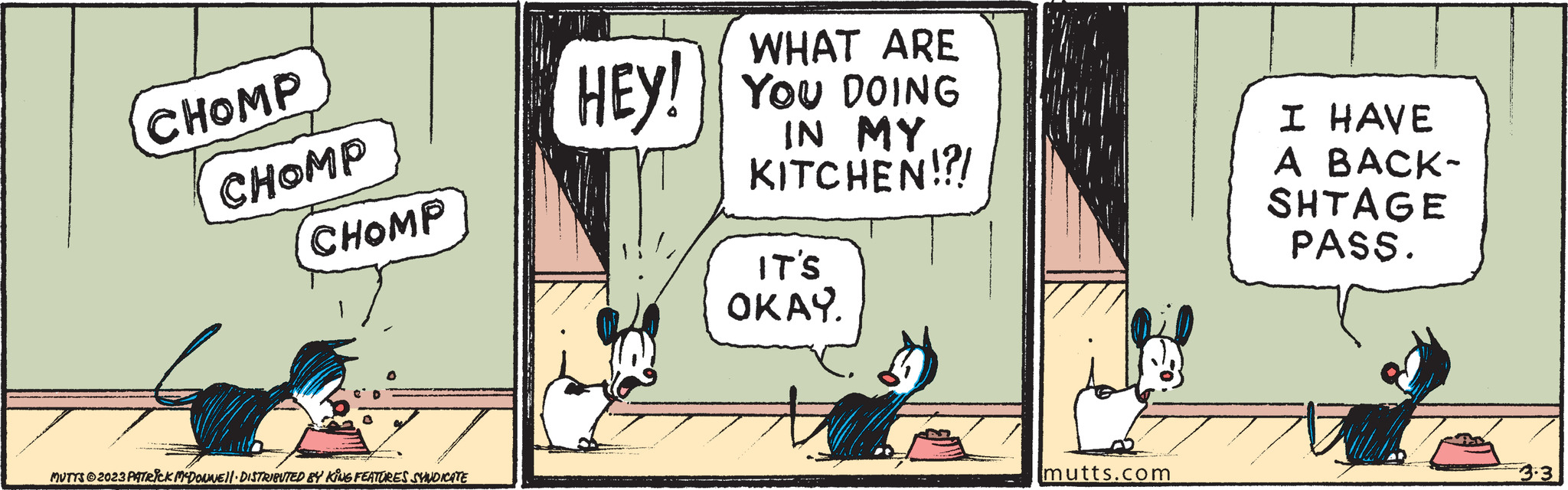 Mutts Comic Strip 2023-03-03 | Comics Kingdom