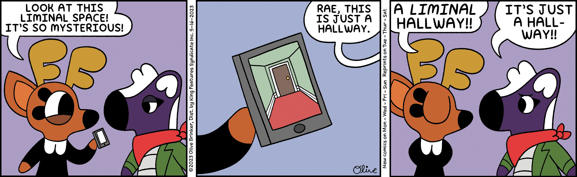 Rae The Doe Comic Strip 2023-05-16 | Comics Kingdom