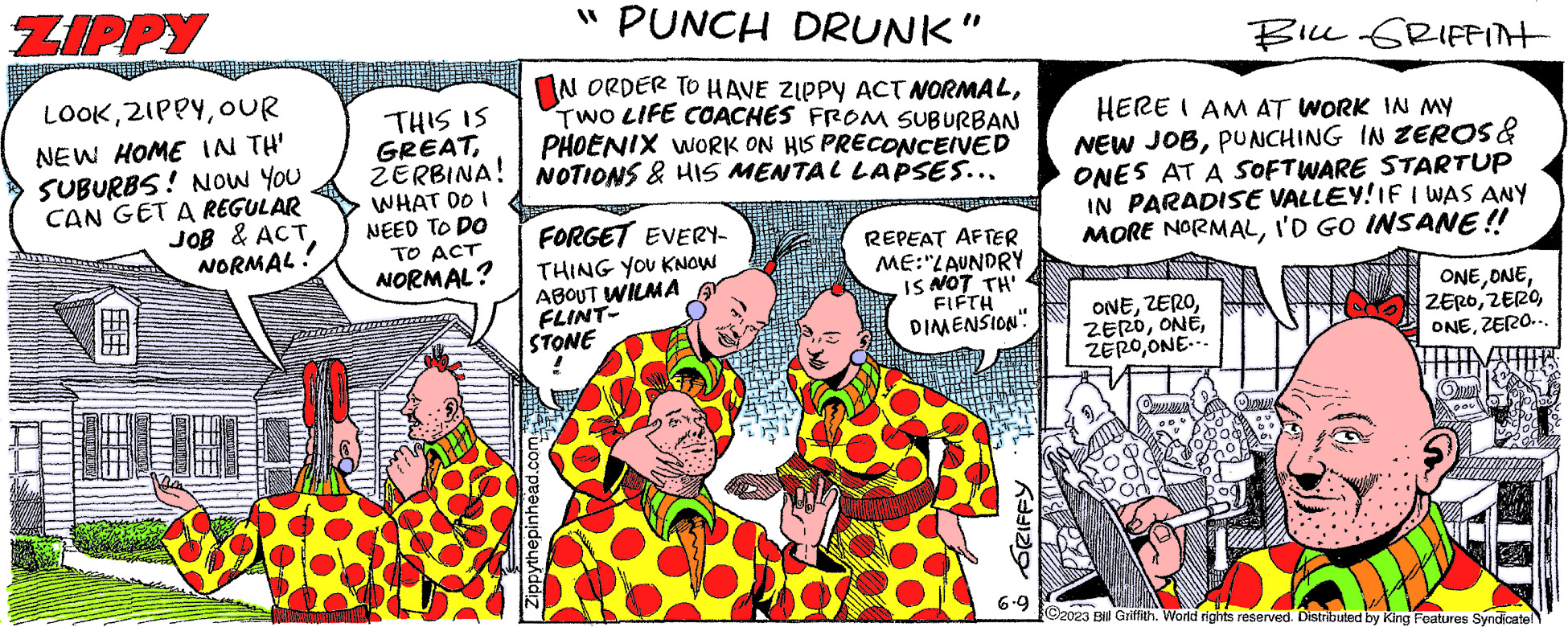 Zippy The Pinhead Comic Strip 2023-06-09 | Comics Kingdom