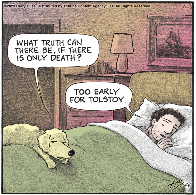 Bliss Comic Strip 2023-07-04 | Comics Kingdom