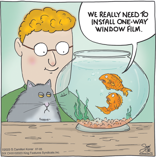 Six Chix Comic Strip 2023-07-05 | Comics Kingdom