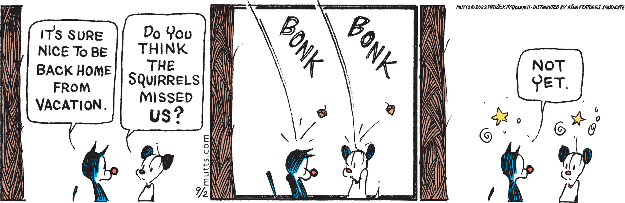 Mutts Comic Strip 2023-09-02 | Comics Kingdom
