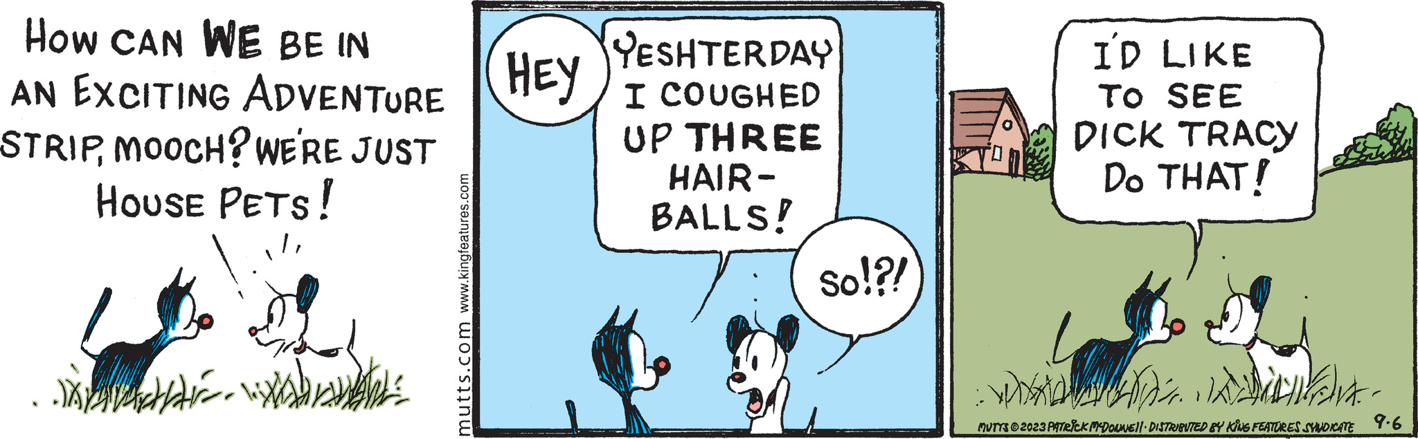 Mutts Comic Strip 2023-09-06 | Comics Kingdom