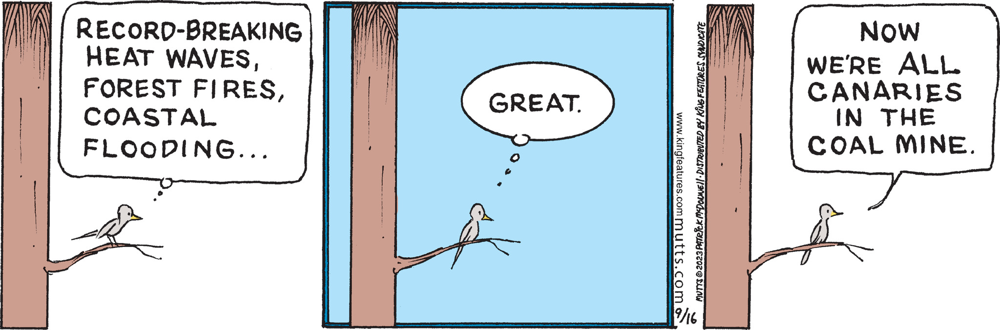 Mutts Comic Strip 2023-09-16 | Comics Kingdom
