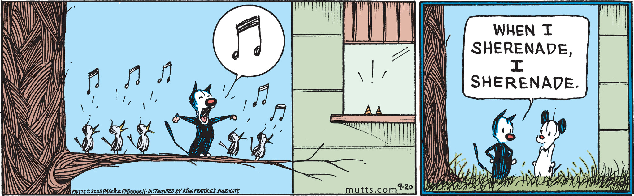 Mutts Comic Strip 2023-09-20 | Comics Kingdom