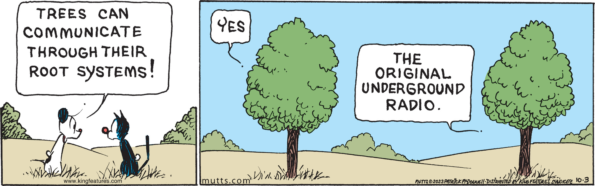 Mutts Comic Strip 2023-10-03 | Comics Kingdom