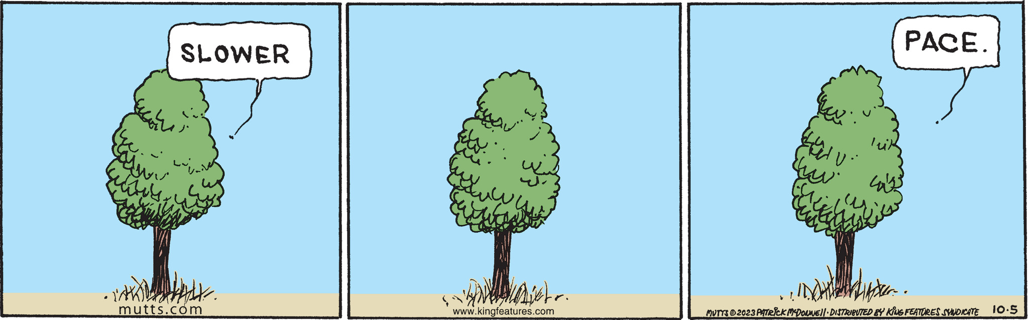 Mutts Comic Strip 2023-10-05 | Comics Kingdom