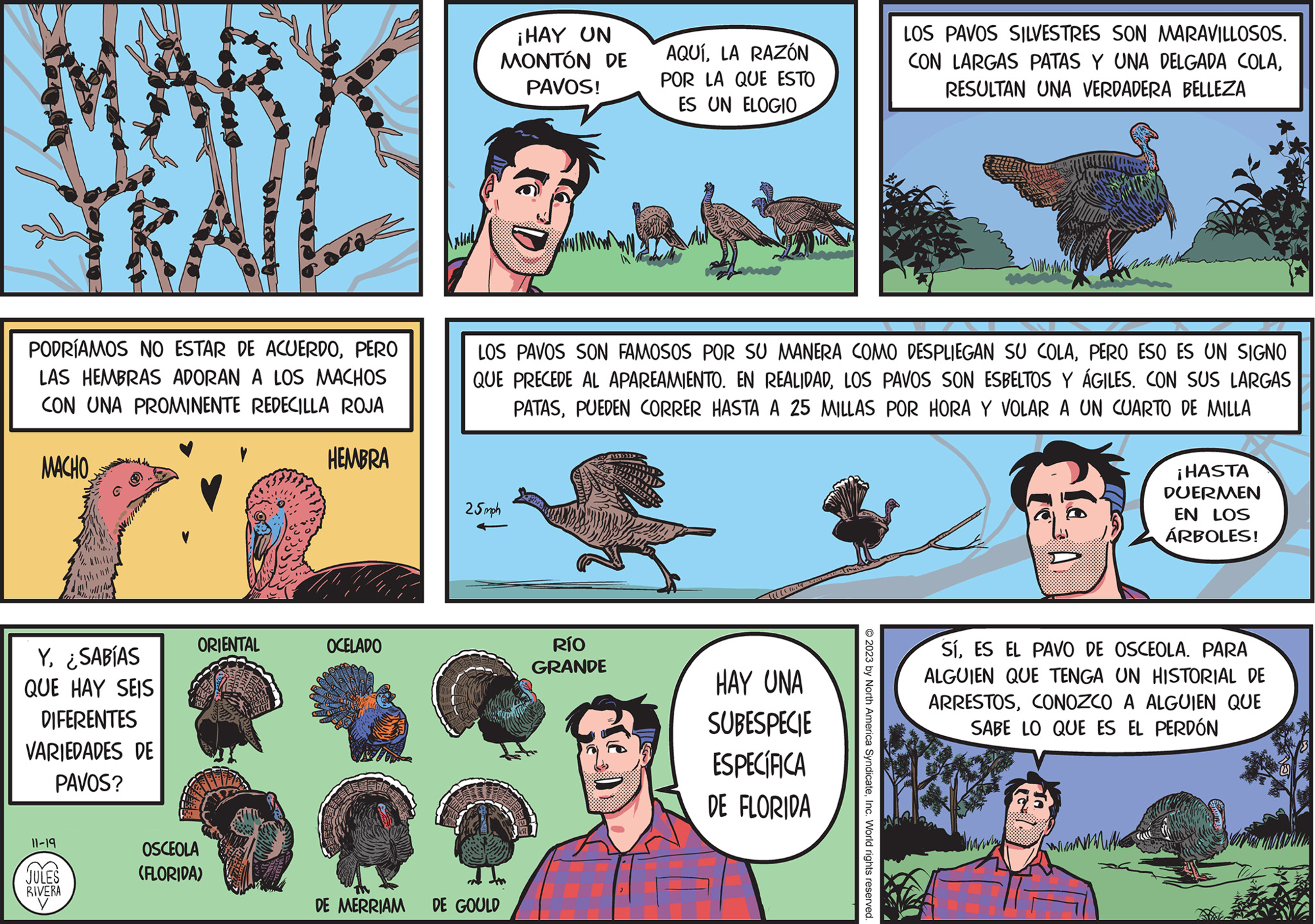 Mark Trail Comic Strip 2023-11-19 | Comics Kingdom