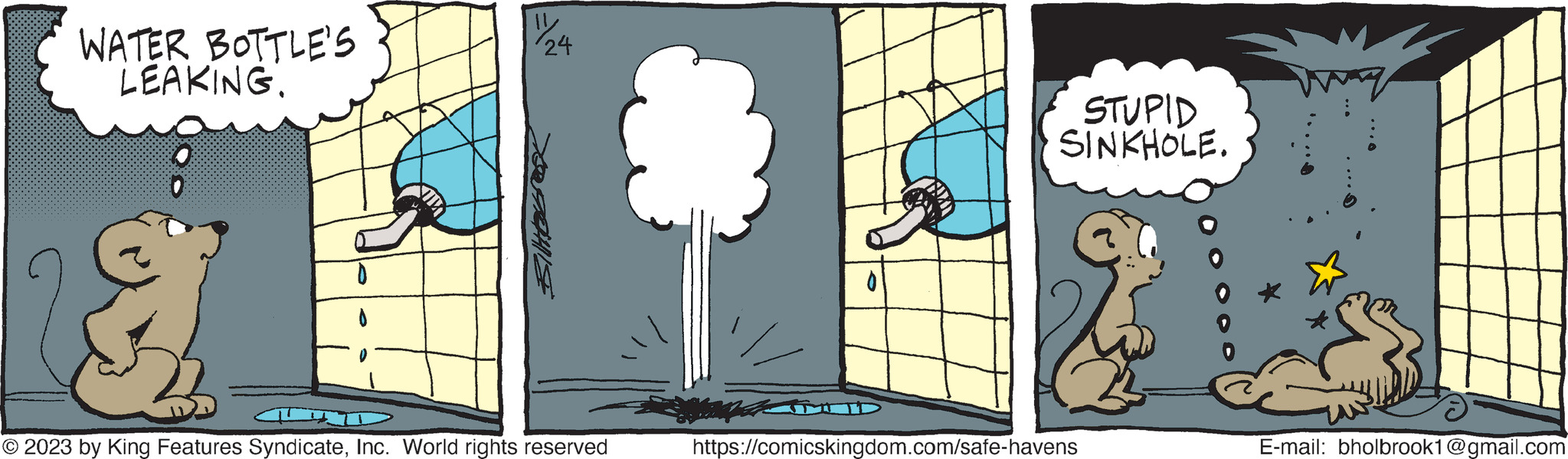 Safe Havens Comic Strip 2023-11-24 | Comics Kingdom